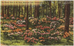 Flowertown Festival Summerville SC | Dates, Hours, & Admission